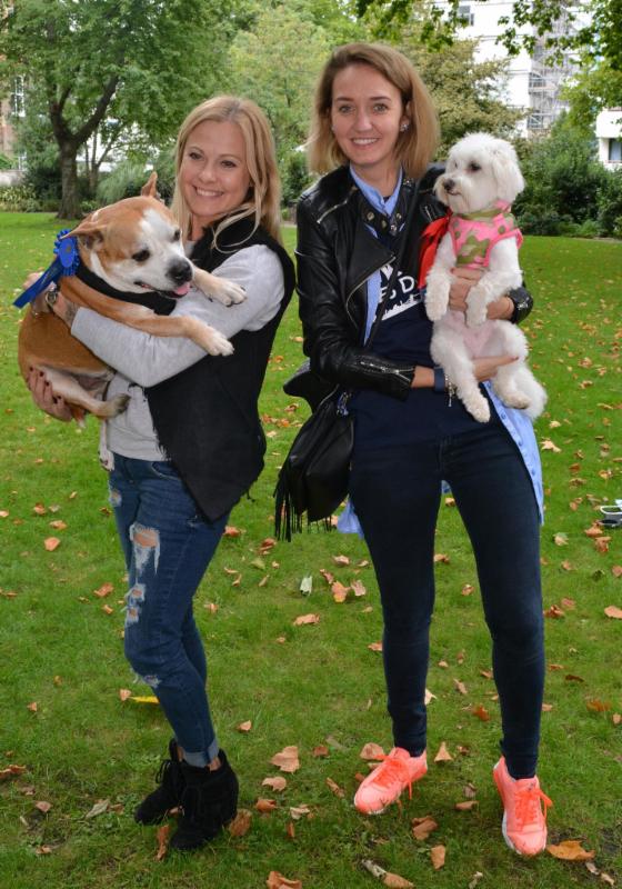 Running 4 the Dogs and Cats – NoToDogMeat Blog