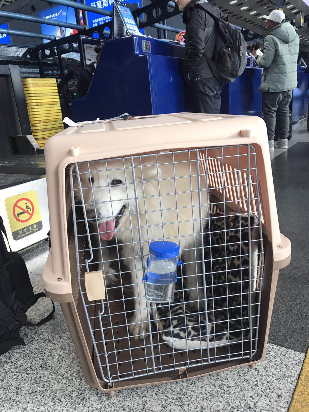 INVESTIGATION: Inside the sadistic world of the gruesome cat torture ...