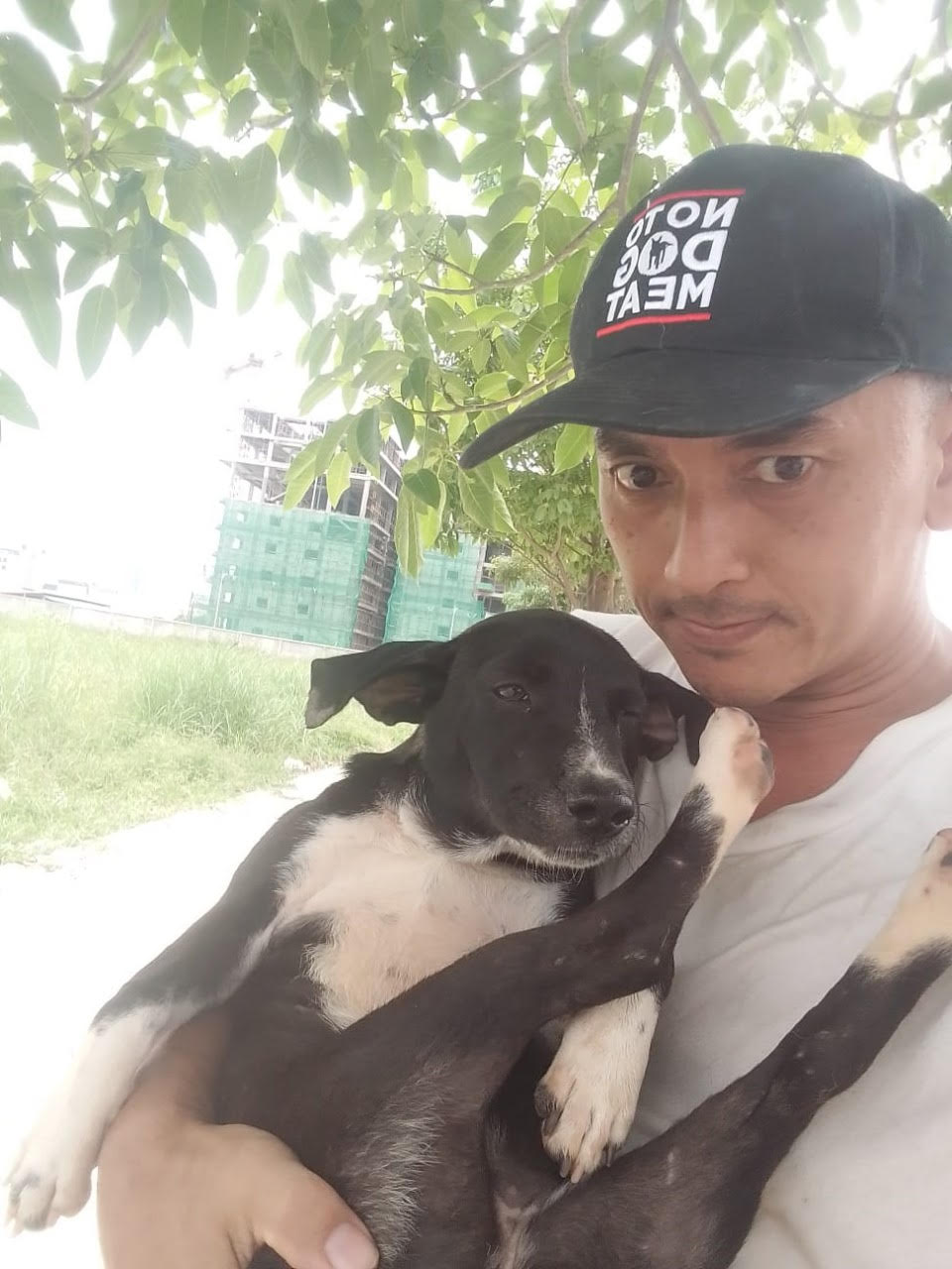 CAMBODIA: NoToDogMeat rescuers save puppy from becoming sour soup ...